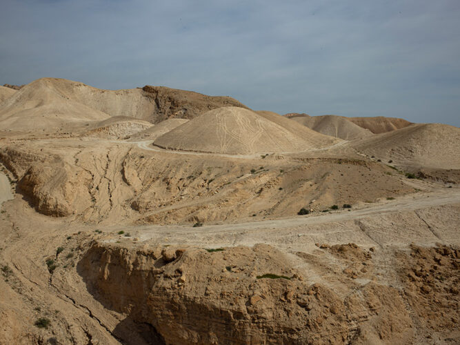 Talmid – Jörn Vanhöfen